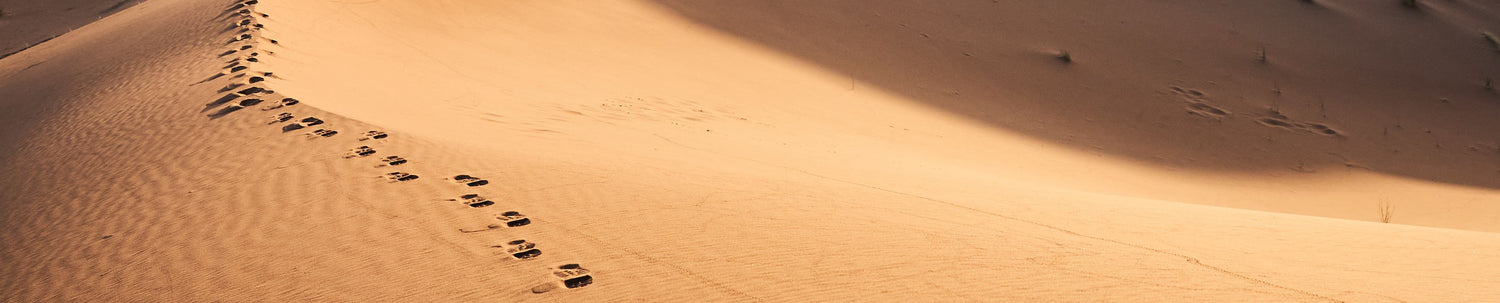 Discover the Unforgettable Magic of Qatar with Doha Magic Adventures